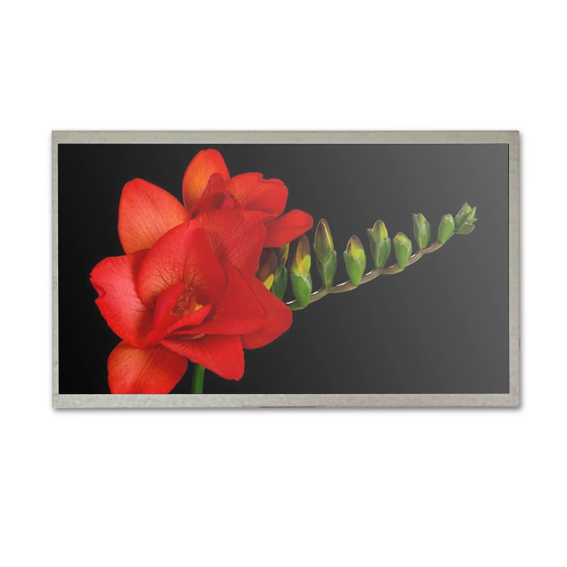 9 Inch 1024x600 Resolution 600nits Lvds Interface Tft Display Module ...