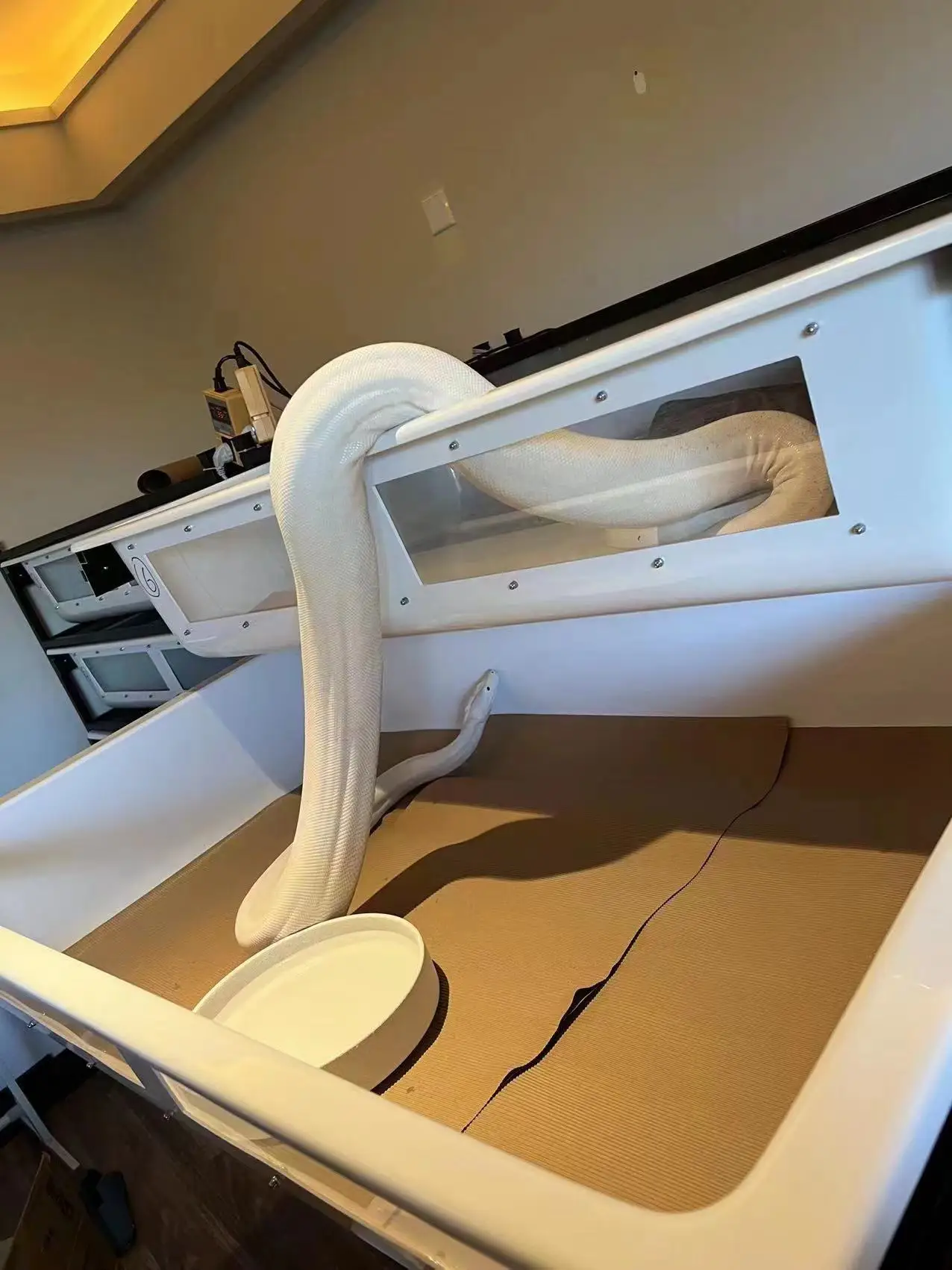 Different Size Of Modular Snake Rack For Snake Rack Breeding Box Snake ...