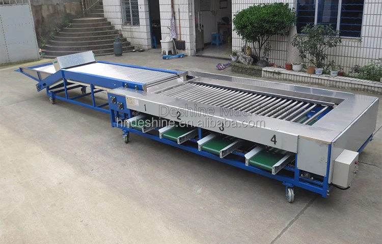 Automatic Citrus Grading Machine - Efficient & Reliable