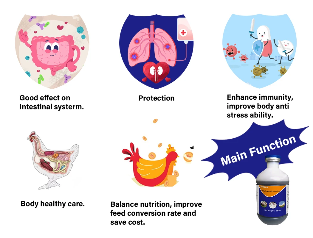 Vitboo Poultry Chicken Oral Liquid Feed Additive