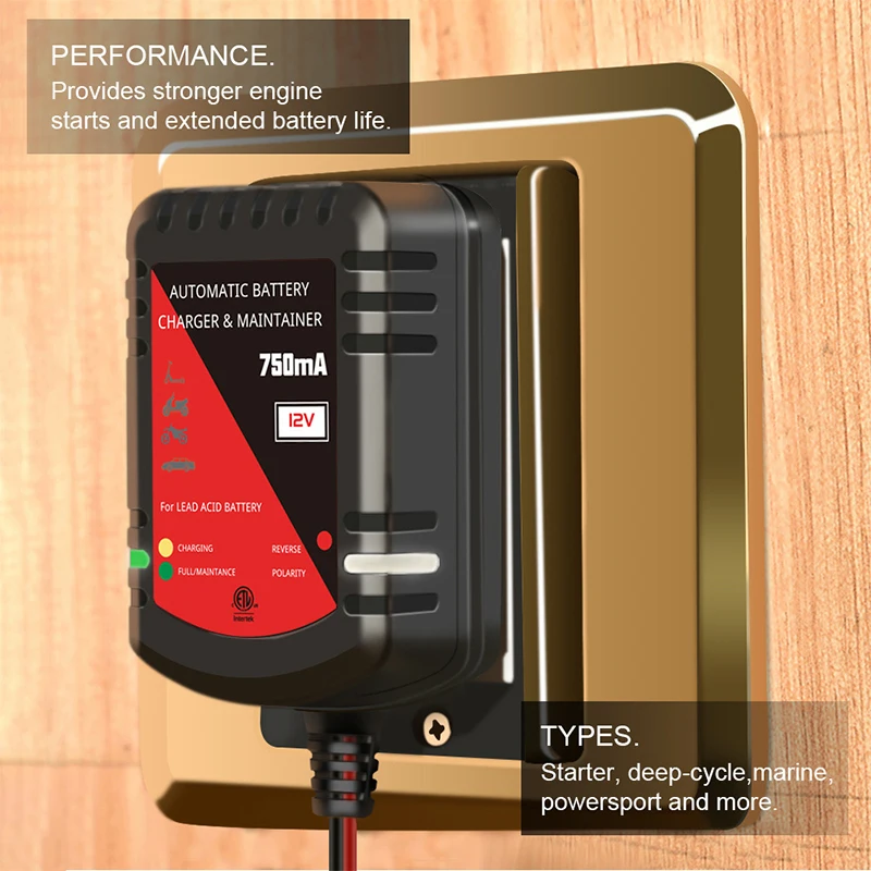 Multi Function Car Lawn Mower Motorcycle Golf Cart Atv 12 V Lead ...