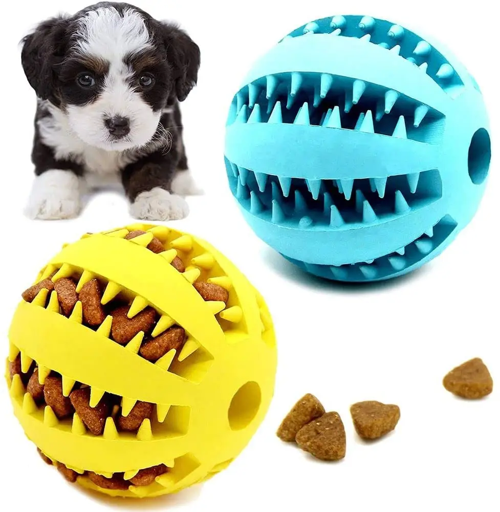 Ball For Dogs With Teeth | atelier-yuwa.ciao.jp