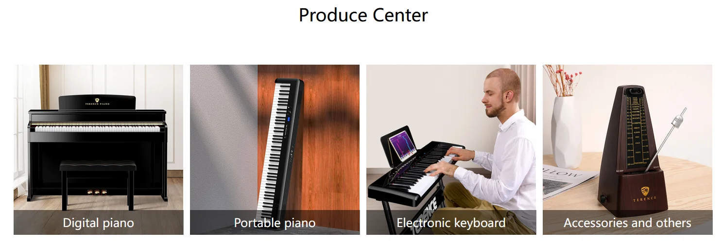 Terence TS01 Electric Keyboard - 61-Key Multi-Function Piano