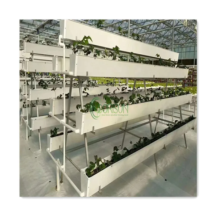 Agricultural Greenhouse Aquaponic Hydroponic Pvc Pipe Lettuce Grow ...