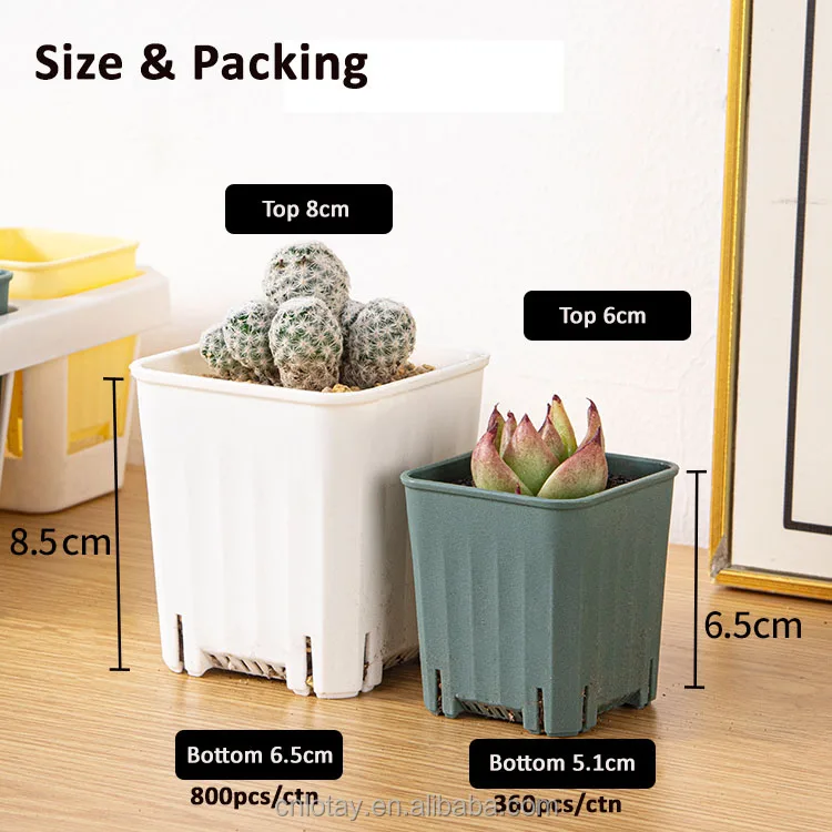 Cheap Square Plastic Slit Dendrobium Haworthia Succulent Planter Pot ...