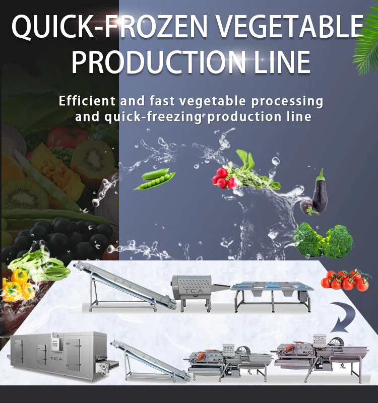Fresh Vegetables Cleaning Line Frozen Vegetables Cutting Washing ...