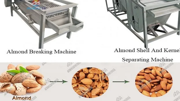 Commercial Automatic Almond Nuts Cracking Machine Black Walnut Shelling ...