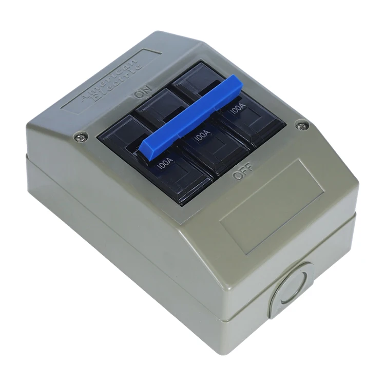 Nema 3R Safety Breaker - 50 Amp, 2 Pole Distribution Box
