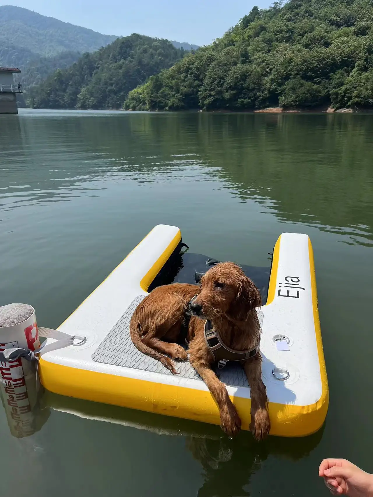 Dock Floating Exit Ramp Inflatable Dog Water Ramp Inflatable Pup Plank ...