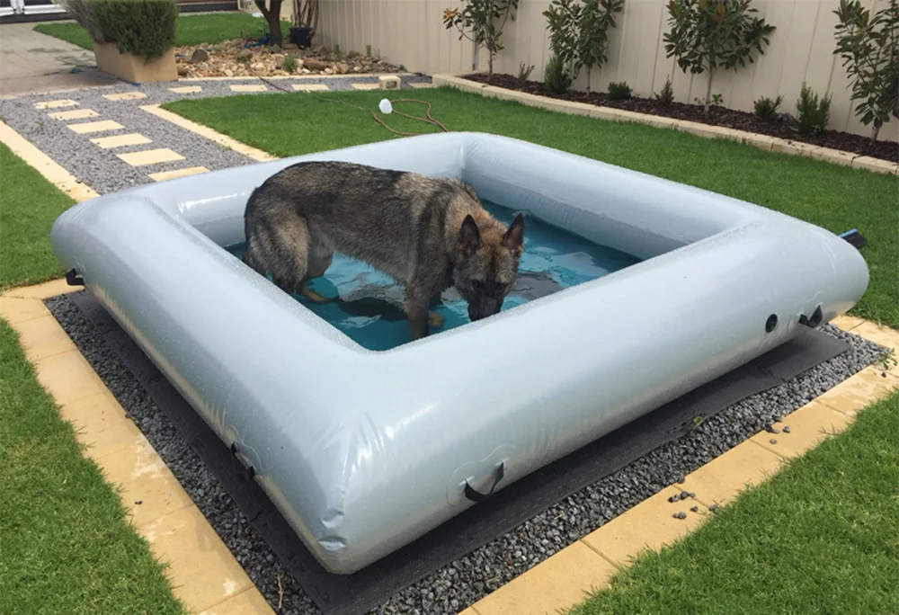 Custom PVC Inflatable Swimming Pool for Animals| Alibaba.com