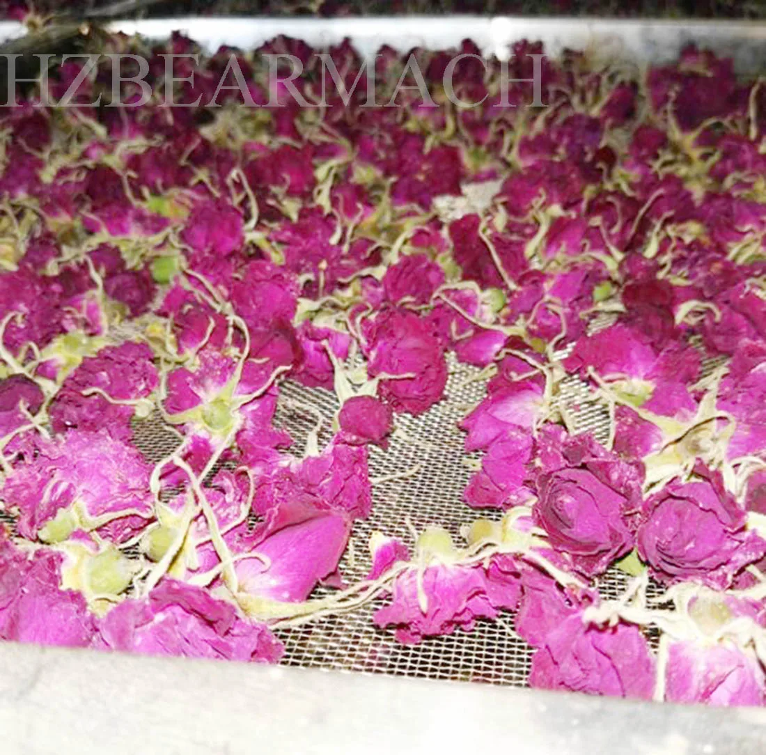 Easy Operation Hot Air Dryer Machine for Cardamom & Herb Drying - 24 ...