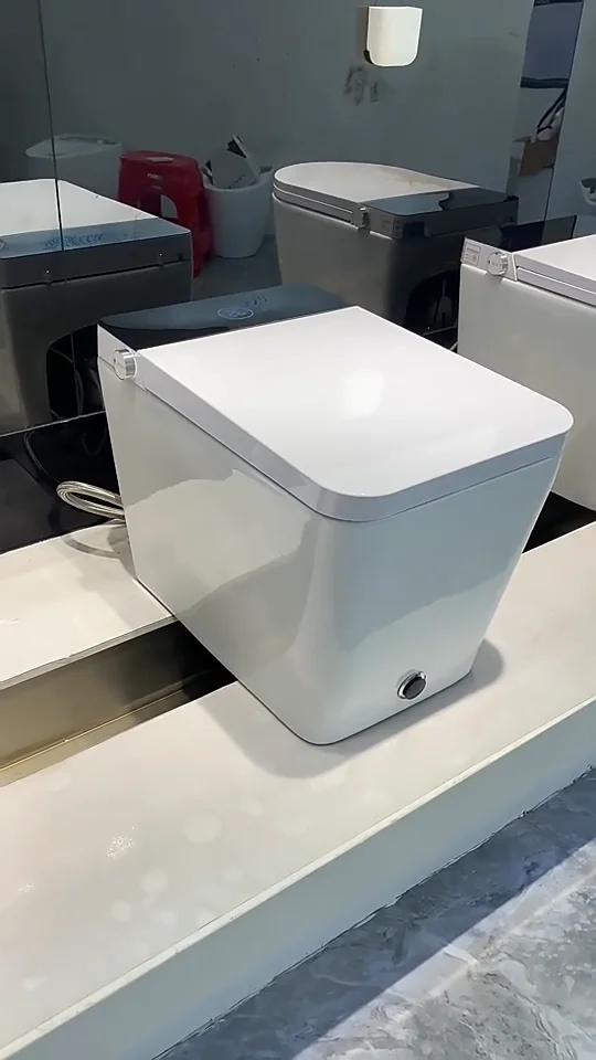 Monarch Integrated Intelligent Remote Control Toilet Intelligent ...