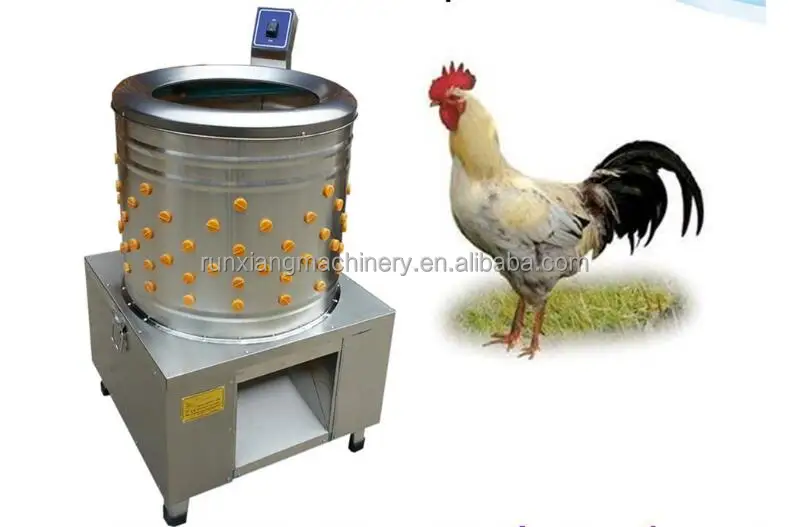 Plucking Chickenplucker Plucker Poiltry Poultry Slaughtering Equipment ...