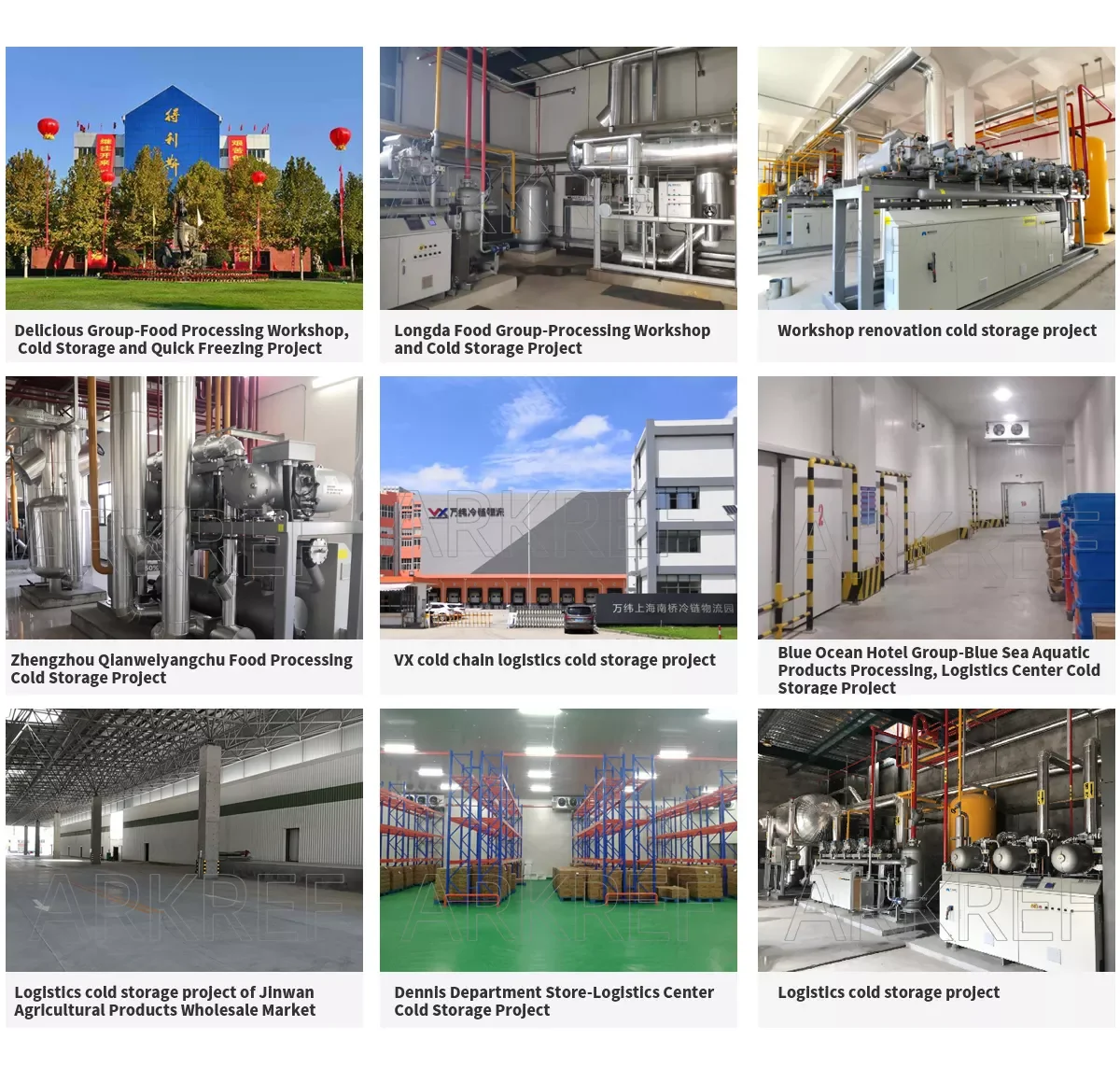 ARKREF High Quality Freon/co2 Cold Storage Solutions