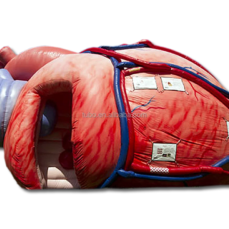 Customized Exhibition Educational Activities Outdoor Event Part ...