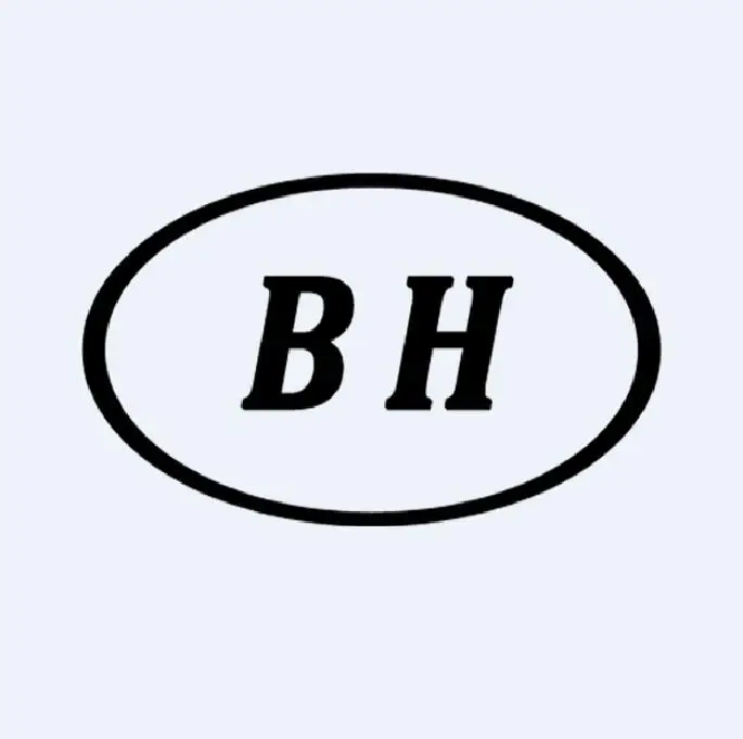 Company Overview - Guangzhou Bh Digital Technology Ltd.