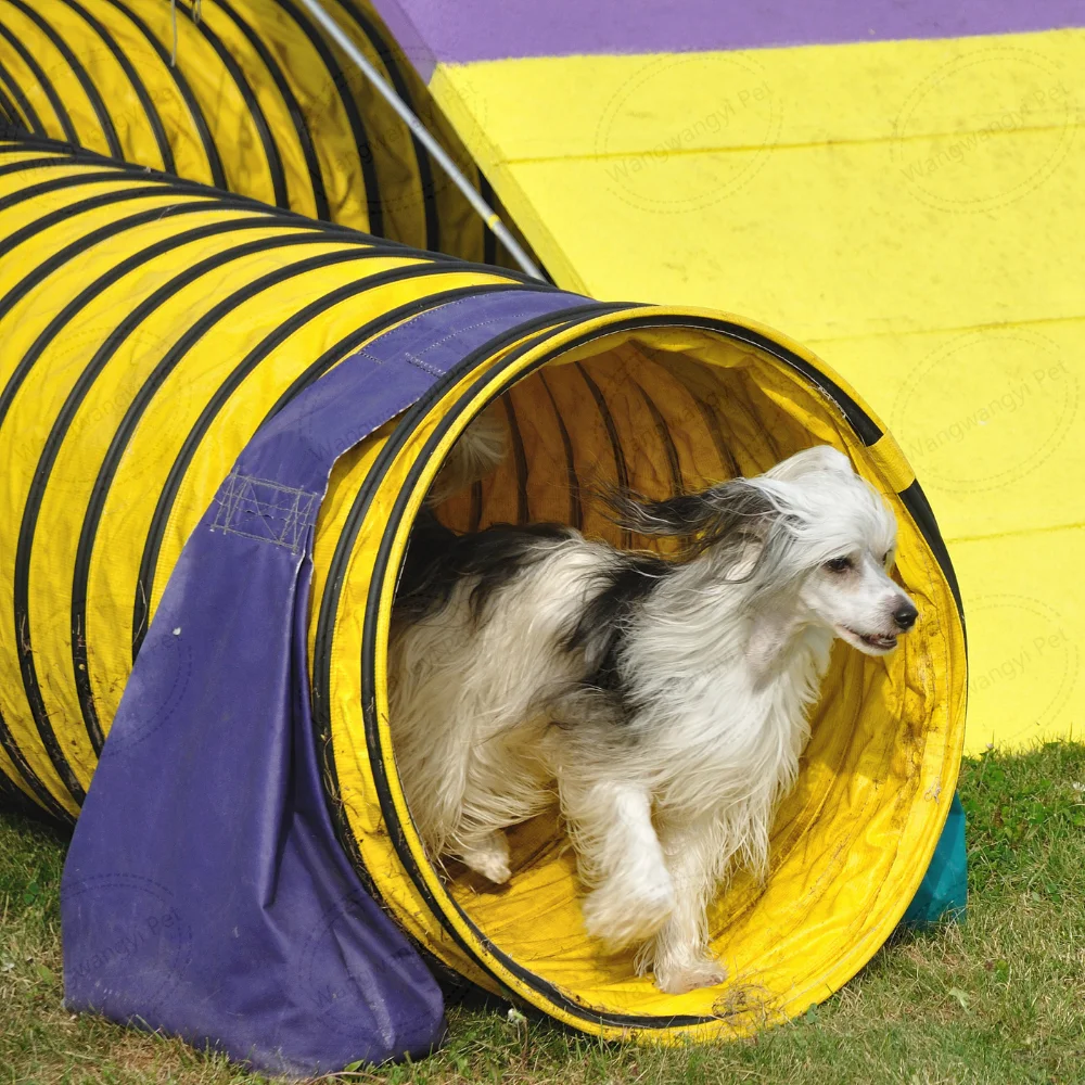 Reinforced PVC Dog Agility Play Tunnel Tube Professional 600mm Heavy ...