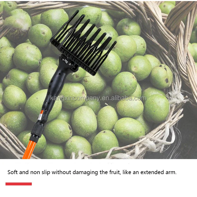 Multi-functional Oliver Shaker Olive Picker Coffee Bean Harvest,Olive ...