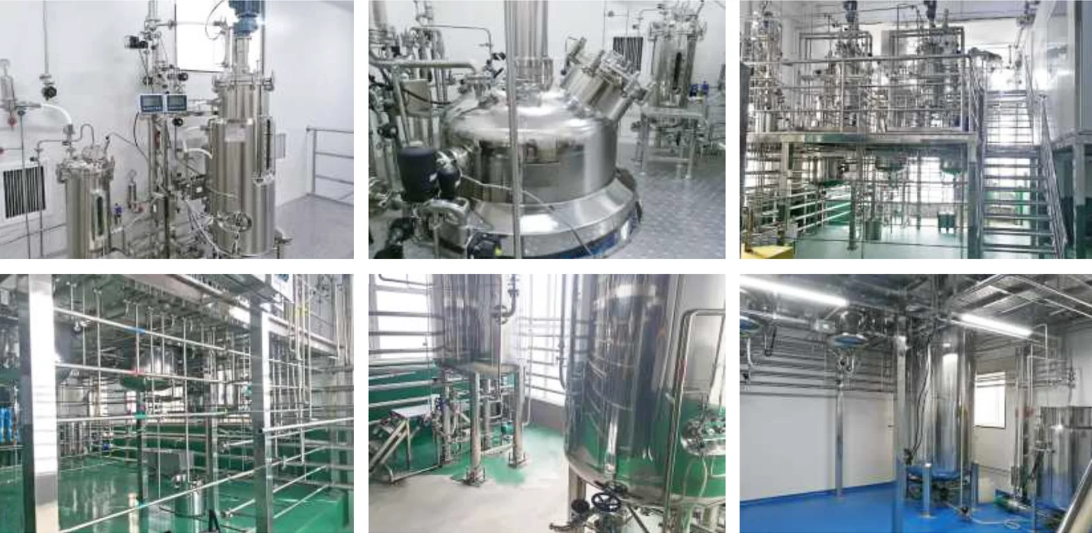 Industrial Batch Fermentation Bioreactors - Innova 100L-1000L
