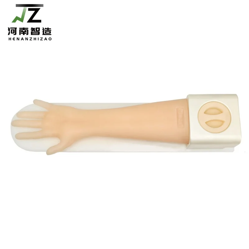 Alibaba.com: B-ultrasound Arteriovenous Fistula Training Model for PTA ...