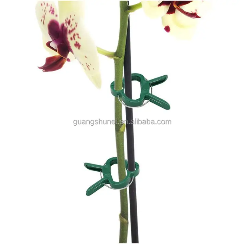 Plant Support Clips Gentle Flower Plant Clamps for Supporting Vine ...