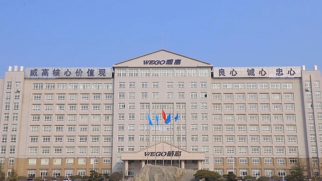 Company Overview - Weigao Medical International Co., Ltd.