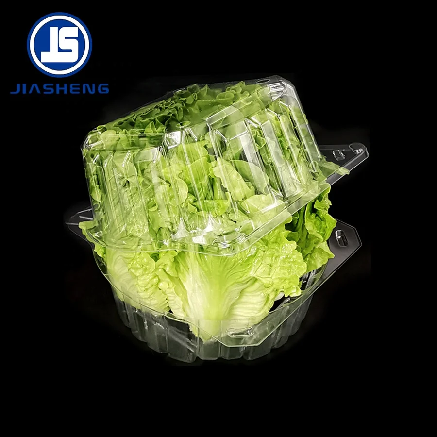 Plastic Boston Lettuce Clamshell Pet Box Iceberg Lettuce Packaging ...