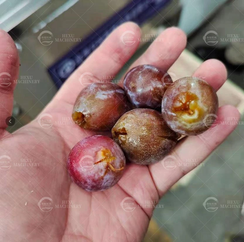 Automatic Table Type Indian Gooseberry Core Remover Jujube Dry Dates ...