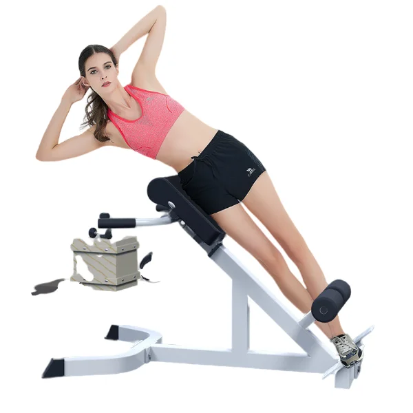 Commercial Fitness & Body Adjustable Weight Bench Roman Chair Back ...