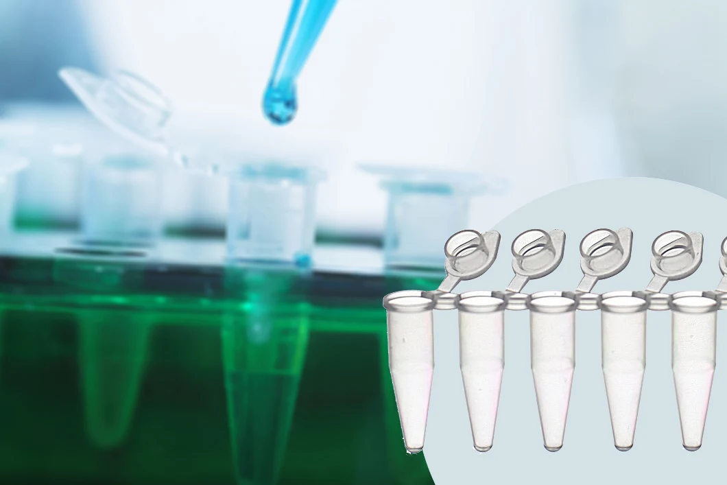 Laboratory Consumables Pcr Tube Micro Lab Biology 8 Strips Pcr Tube ...