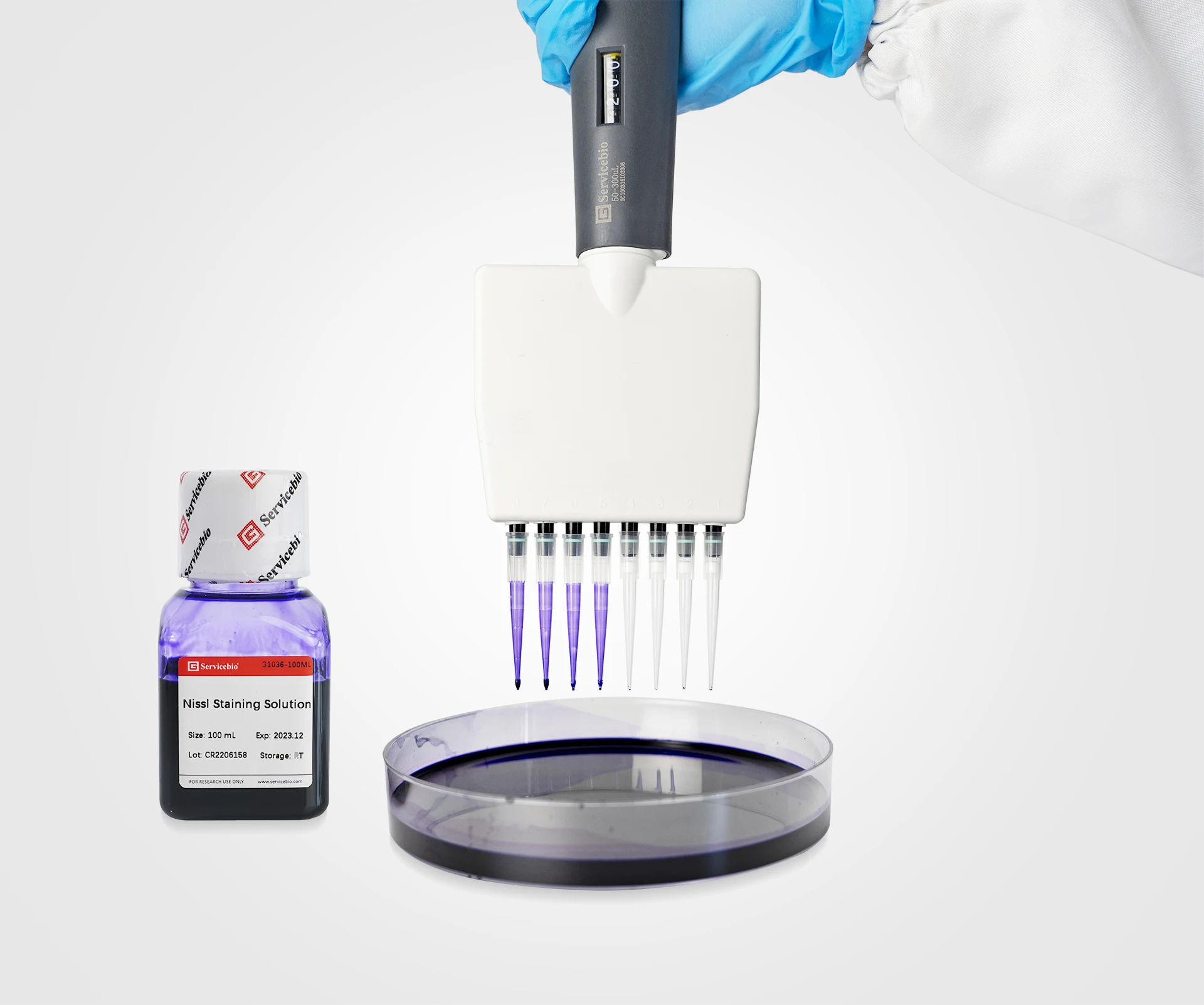 Laboratory Consumable Precise Plastic Micropipette Disposable Transfer ...