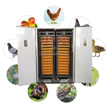 10000 Eggs Capacity Incubator With Hatchery Commercial Industrial ...