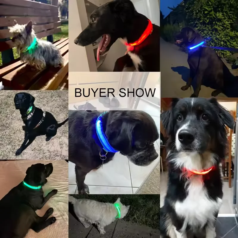 Alibaba.com: Electronic Pet LED Dog Collar, Adjustable Flash ...