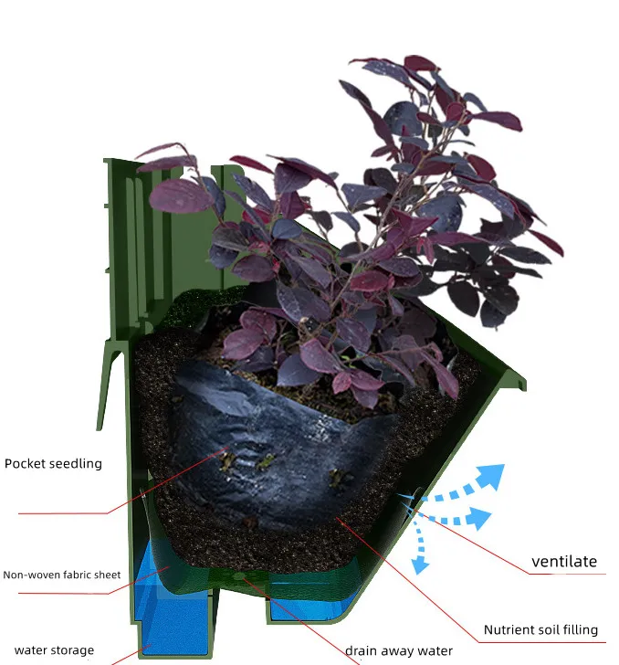 Plastic House Automatic Irrigation System for Vertical Gardens