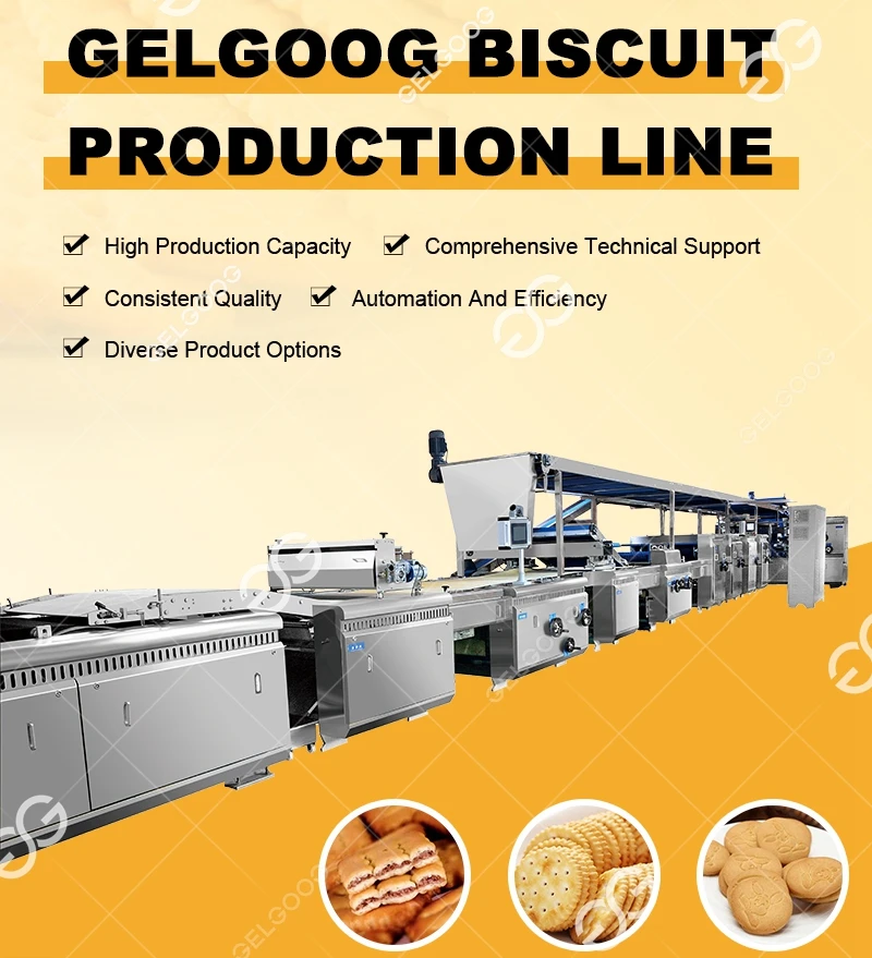 Small Scale Hard Biscuit Production Line Salty Biscuit Make Machine ...