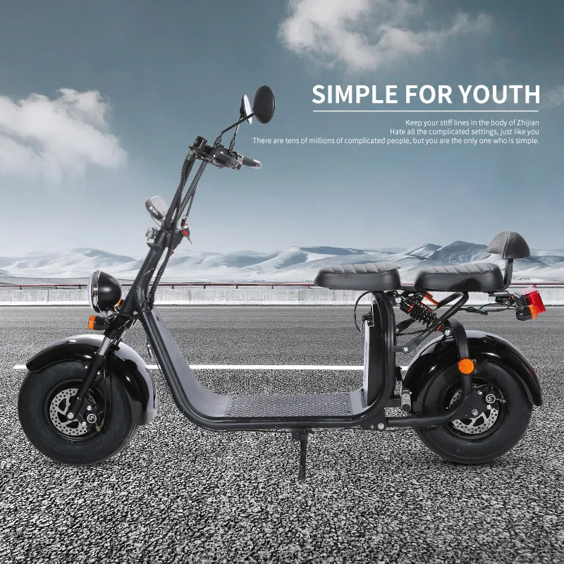 Citycoco CP1 1000W 60V Electric Motorcycle 8 Inch Fat Tire Two-Wheel ...