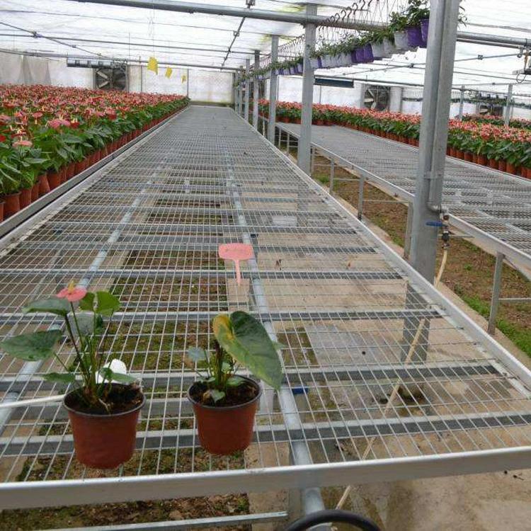 Trellis Poles Agricultural Wire Mesh Greenhouse Rolling Benches ...