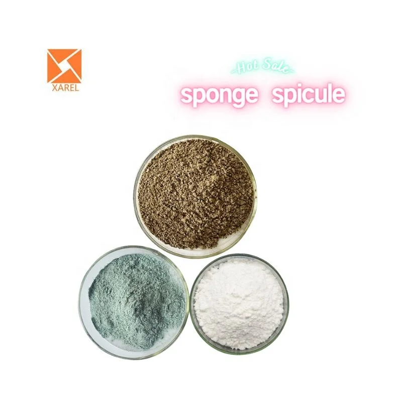 ISO Grade 99% Hydrolyzed Sponge Spicule Powder Supplier