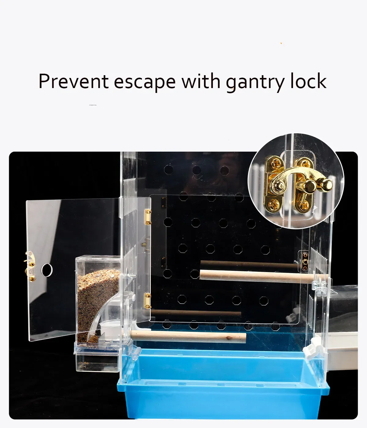 Transparent Panoramic Acrylic Bird Cage| Alibaba.com