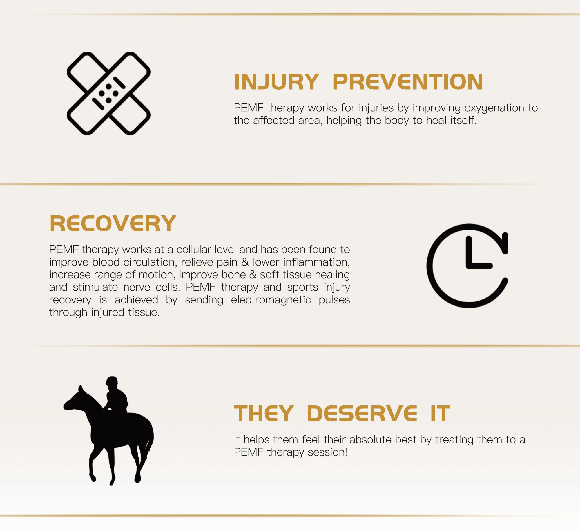Equine Machine Magneto Machine Horses Therapy Machine PEMF
