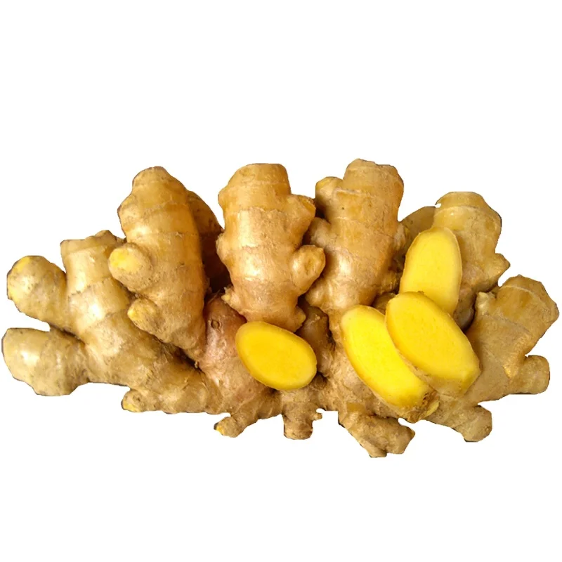 Different Size And Packing Fresh Ginger On Sale With Best Quality And ...