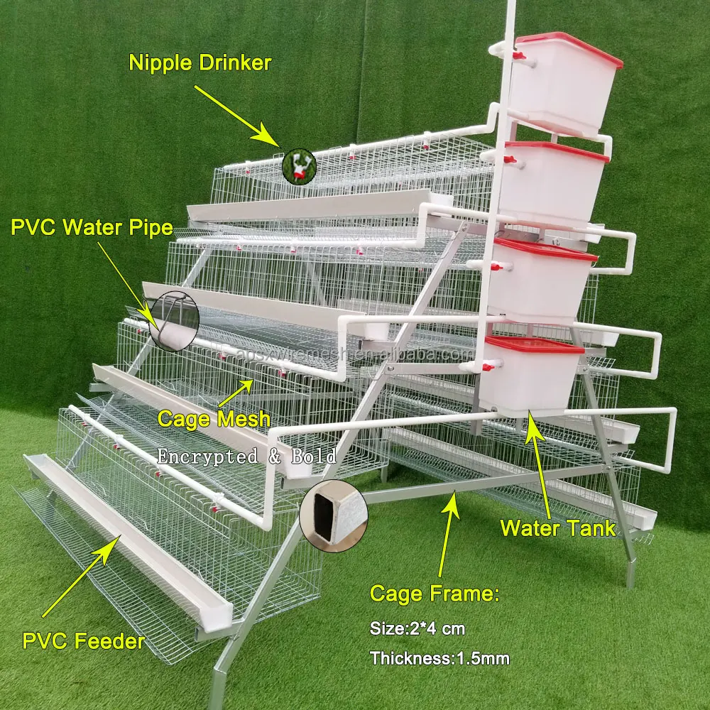 Layer Chicken Battery Cage Automatic Chicken Cages Egg Layer Poultry ...