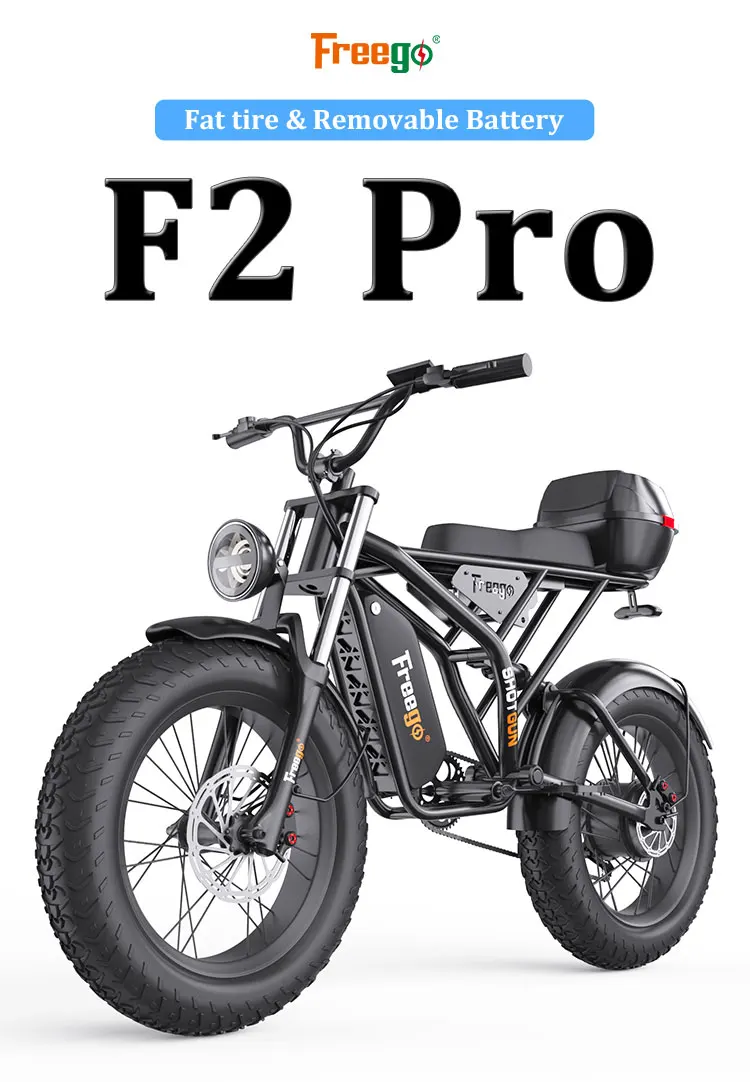 Freego New Design F2 Pro 1400w 48v 22.5ah 50-80km 7-speed 20-inch Fat ...