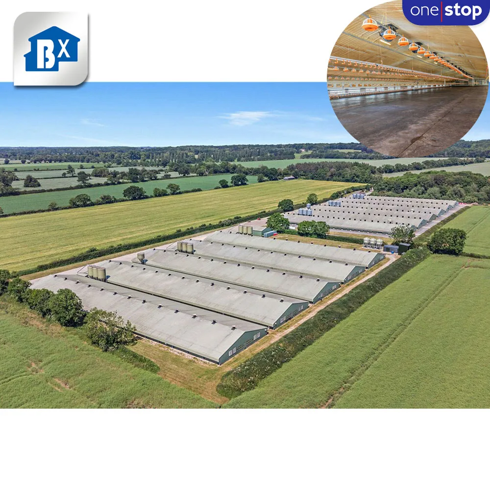 Portable Layer Cages Egg Chicken House Poultry Farm,Poultry Equipment ...