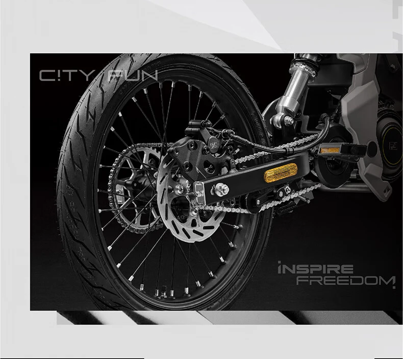 ZEEHO 2023 E Bike - City Fun 48V 25AH Pedal Kit E Bicycle