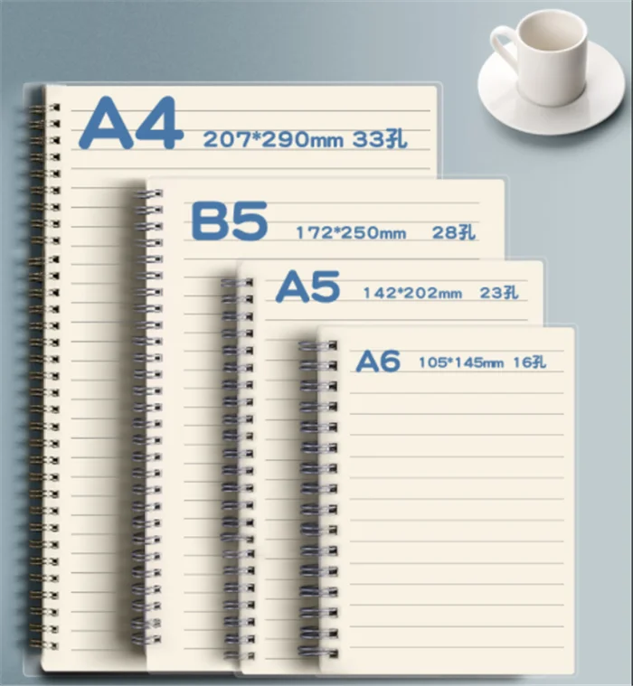 Pinglory Metal Coil Transparent PP Scrub Notebook A4 A5 A6 B5