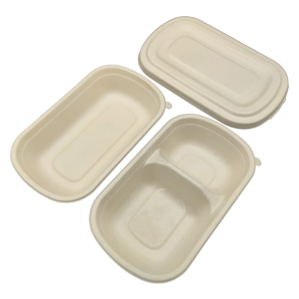 Sugarcane 2 Compartment Rectangle Food Container With Lid - Buy ...