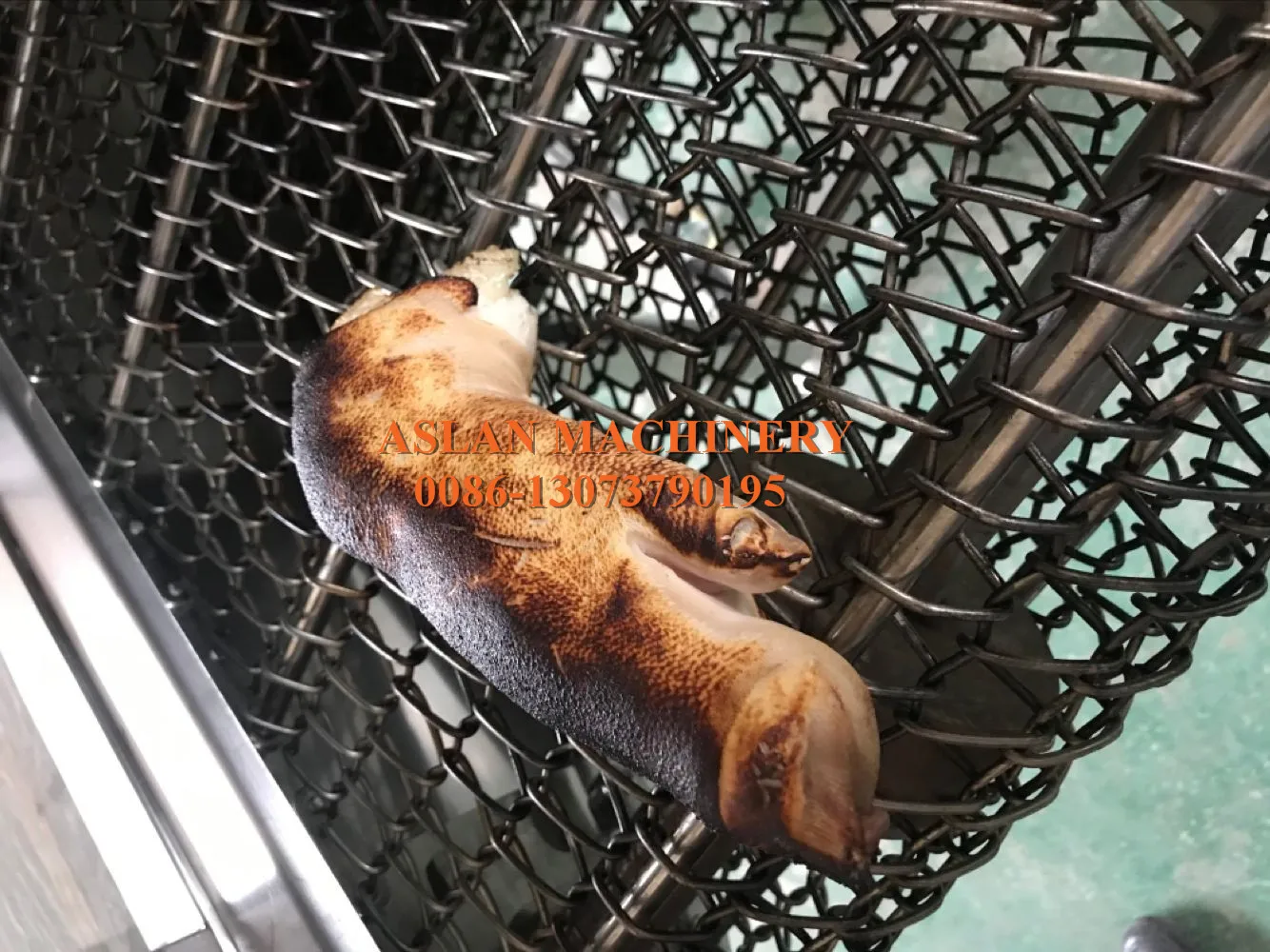 Pig Trotters Singeing Machine Slaughterhouse Cattle Head Hoof Hair ...