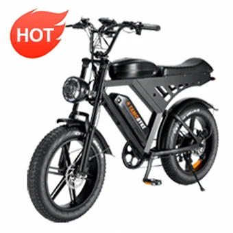 Company Overview - SMART RIDE TECHNOLOGY LIMITED