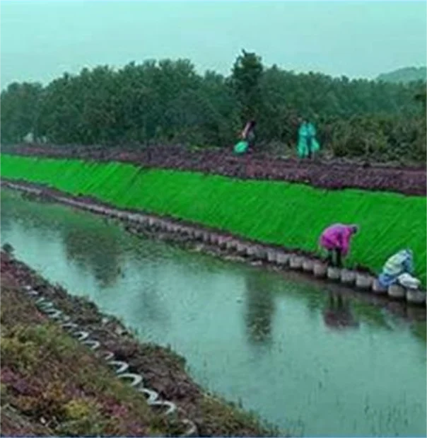 3d Erosion Control Drainage Vegetative Geomat for Cover Net Green ...